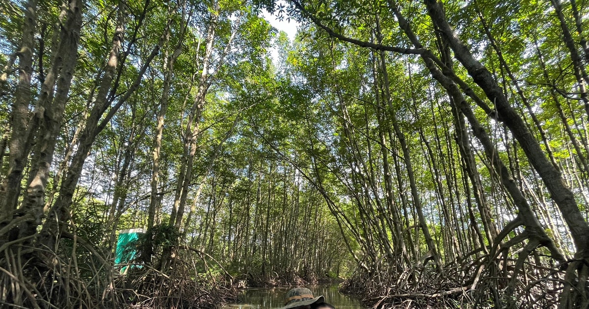 1-Day Can Gio Island- Mangrove Biosphere Reserve with lunch | GetYourGuide