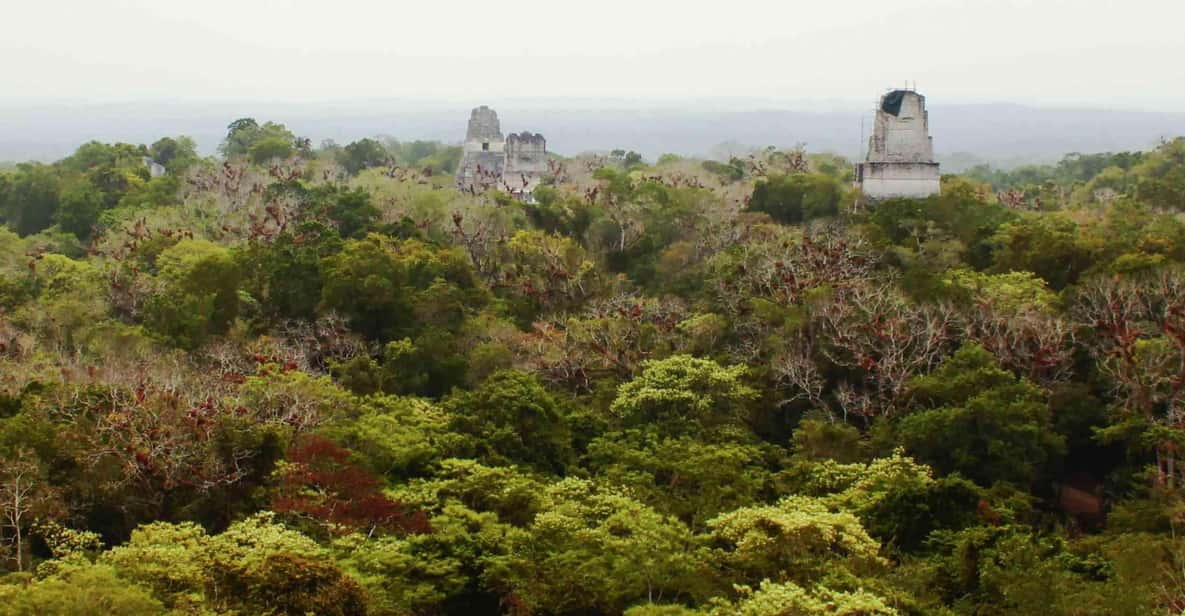 From Flores: Tikal Sunset Tour | GetYourGuide