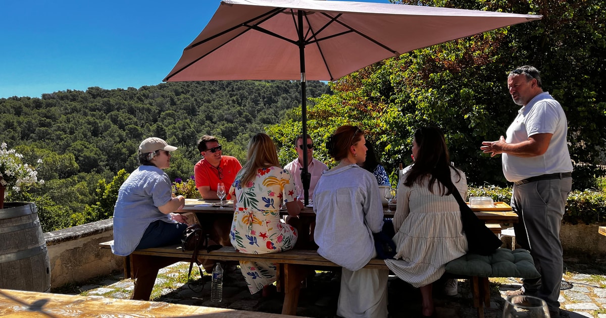 Vanuit Marseille: Aix en Provence Wijn en Kaas Tour | GetYourGuide