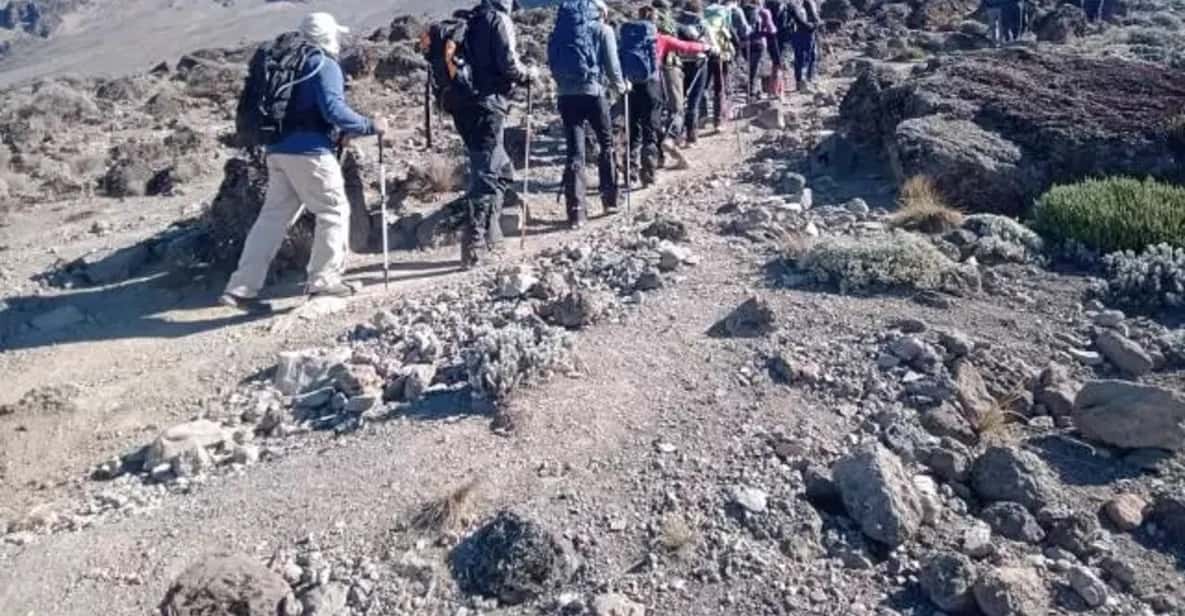 The Ultimate 7-Day Rongai Route - Kilimanjaro Hiking | GetYourGuide