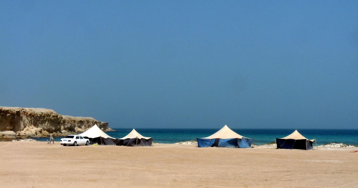 3 Tage auf der Banc d'Arguin | GetYourGuide