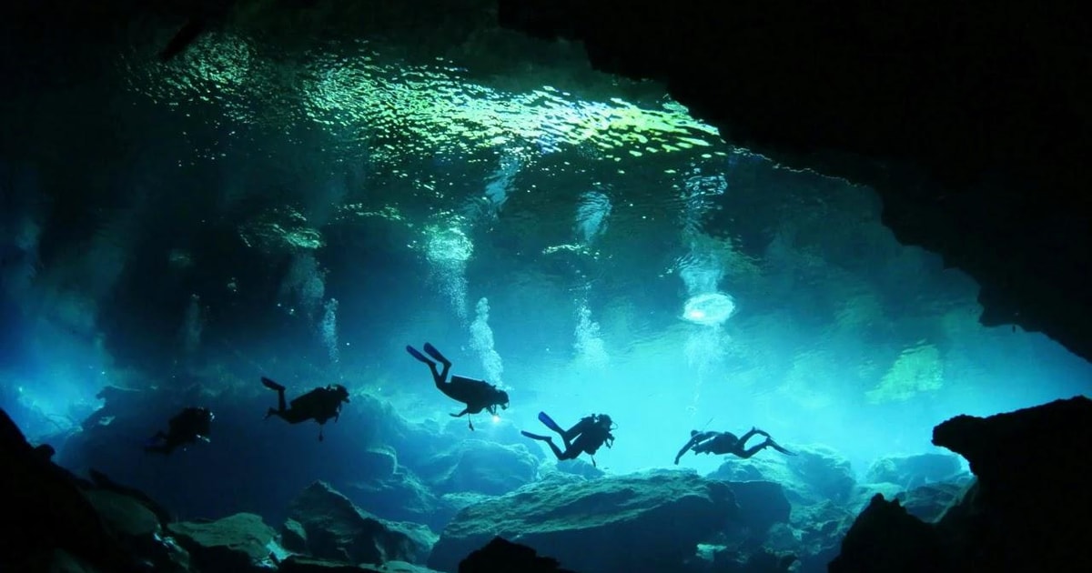 Punta Cana: Cave Diving Experience at Two Unique Dive Spots | GetYourGuide