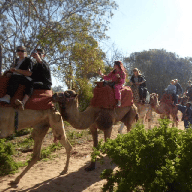 Agadir Camel Ride Tour adventure with old Medina tiket | GetYourGuide