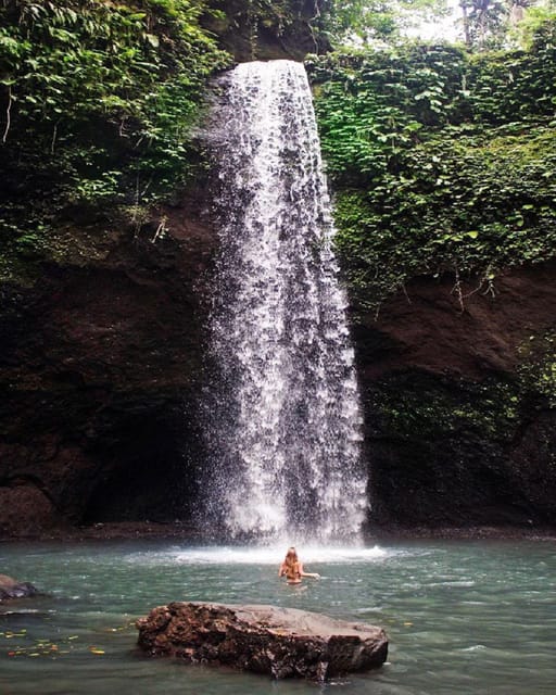 Ubud Waterfalls, Rice Terrace & Jungle Swing Tour | GetYourGuide