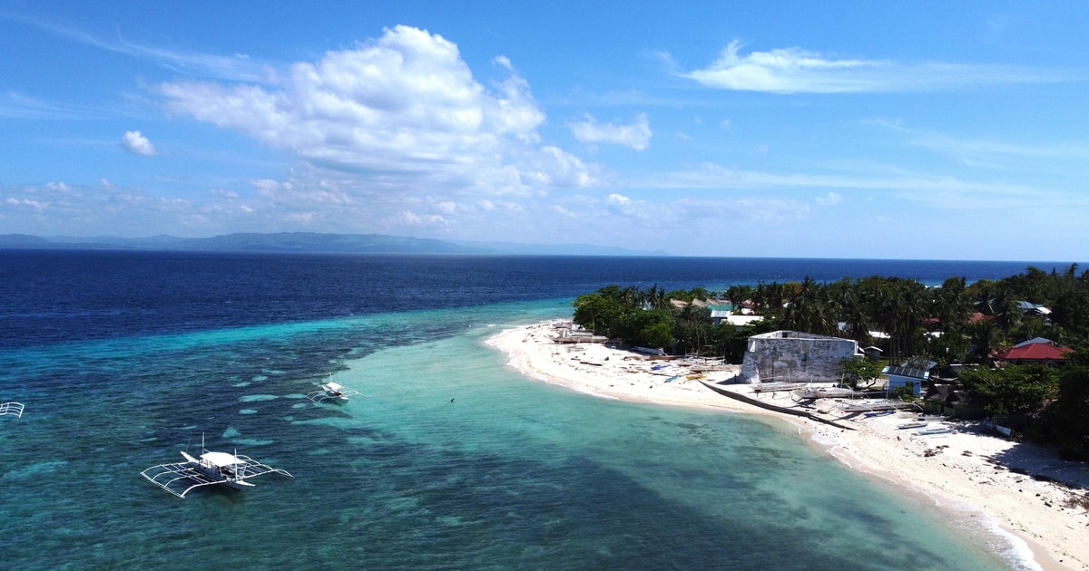 PAMILACAN Island Tour and Dolphin Watching Private Tour | GetYourGuide