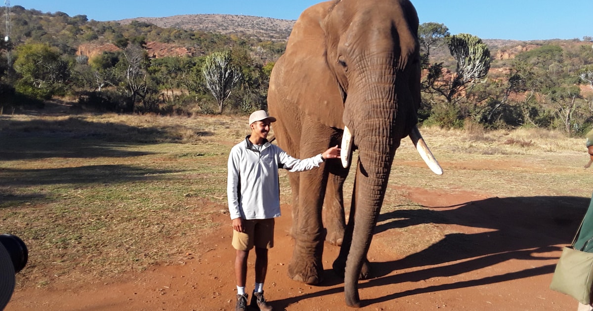 The Elephant and Monkey Sanctuary. | GetYourGuide