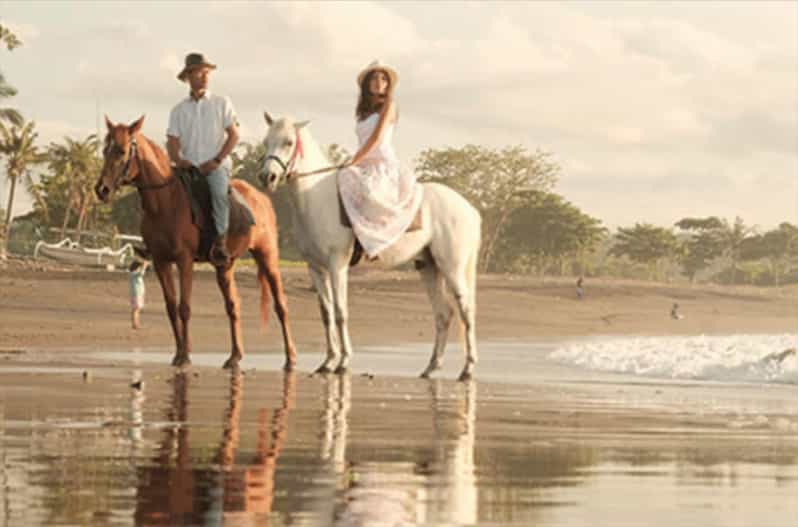 Bali: Beach horse riding | GetYourGuide
