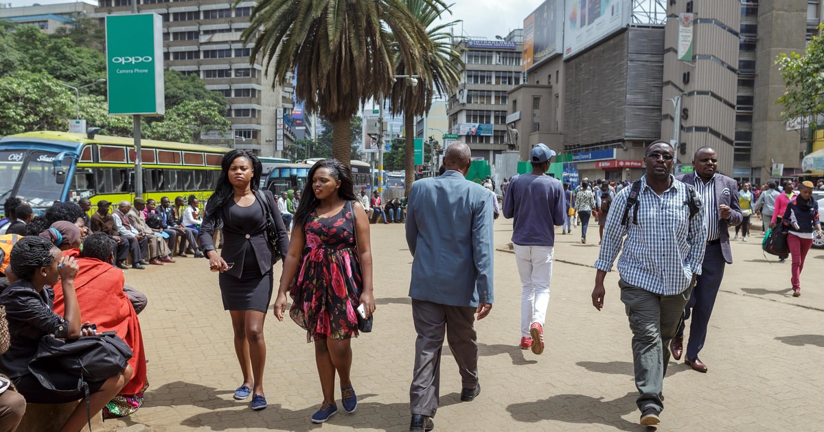 Nairobi Flughafen Layover- Nairobi Highlight Stadtführung | GetYourGuide