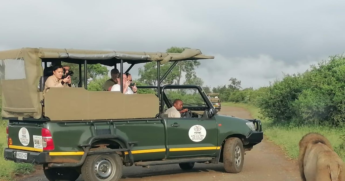 Kruger ochtend wildrit vanuit Marloth Park & Komatipoort | GetYourGuide