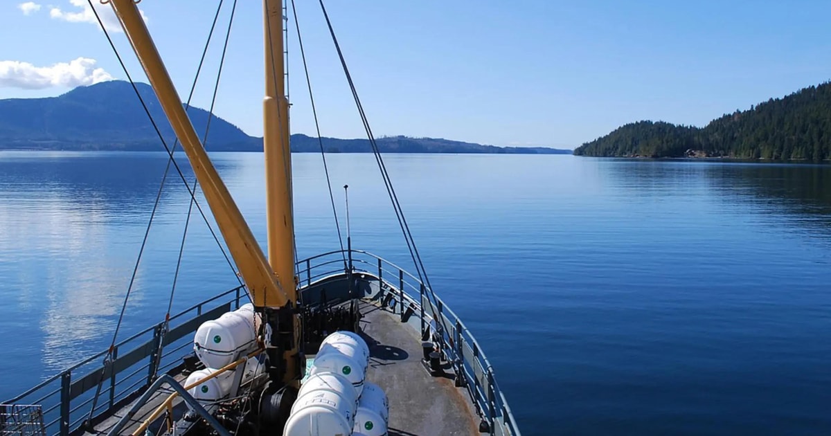Bamfield: Inlet Boat Ride to West Coast Wilderness Overnight | GetYourGuide