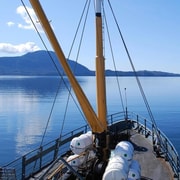 Bamfield: Inlet Boat Ride to West Coast Wilderness Overnight | GetYourGuide