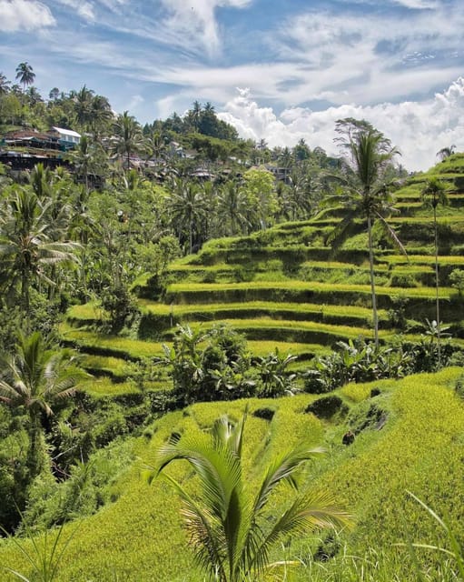Gate of Heavan, Waterfall & Rice Terrace - Private Tour | GetYourGuide