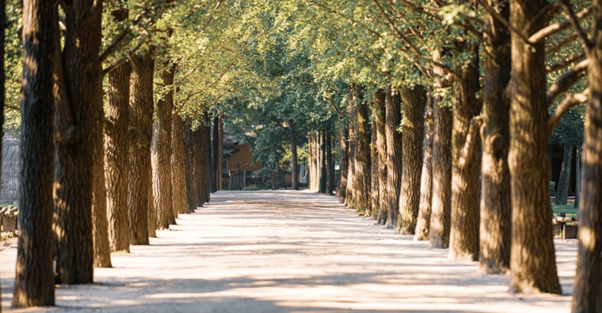 Seoul: Nami, Rail Bike, Morning Garden (+Healing Park) | GetYourGuide