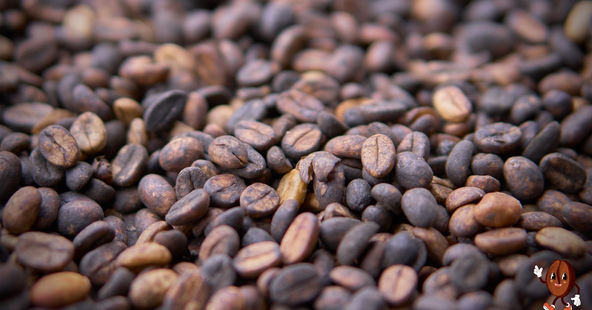 Coffee Tour with Tasting on the slopes of the Poas Volcano | GetYourGuide