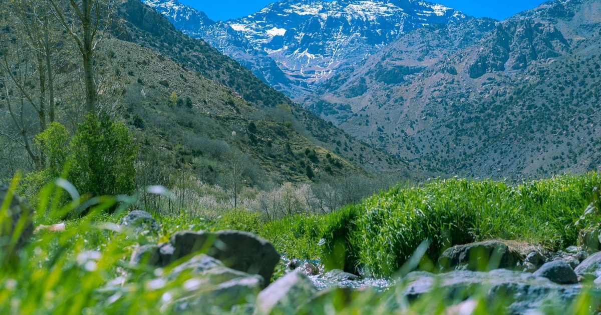 Marrakech la 5 văi și munți atlas cu prânz | GetYourGuide