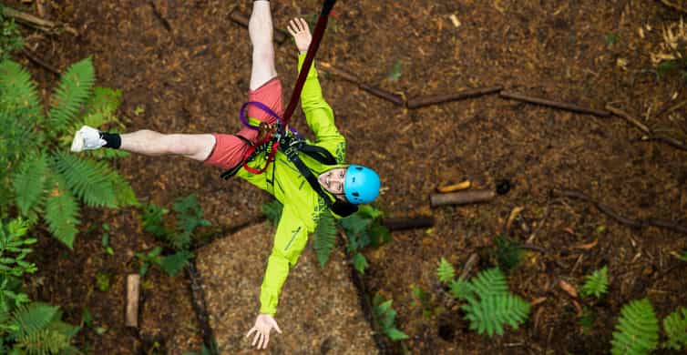 Rotorua: Redwoods Altitude High Ropes Adventure | GetYourGuide