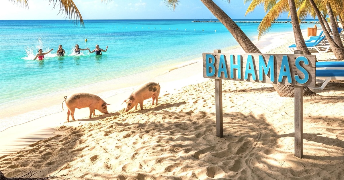 Miami/Ft Lauderdale: Bimini or Grand Bahama Ferry Day Trip | GetYourGuide