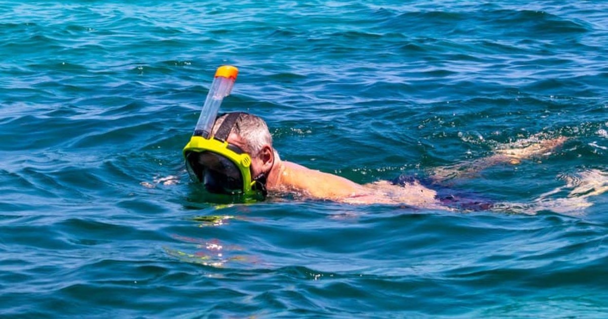 Wasini Island : Dhow Cruise to Wasini Island with Snorkeling | GetYourGuide