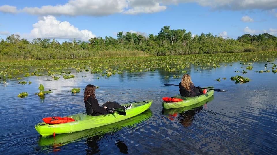 Orlando: Sunset guided kayaking tour | GetYourGuide