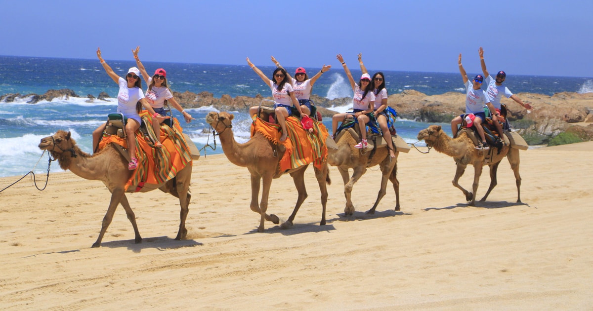 Spiaggia CAN-AM SXS X3 e giro in cammello a Cabo con Cactus Tours ...