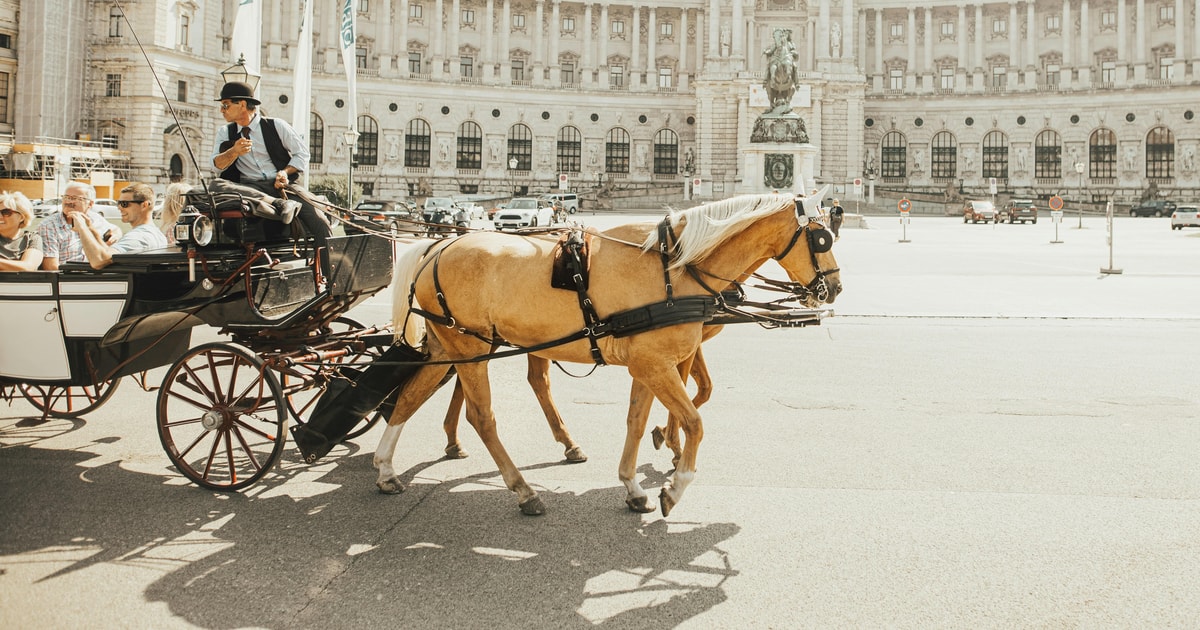 Wien: Tour mit privatem Guide | GetYourGuide