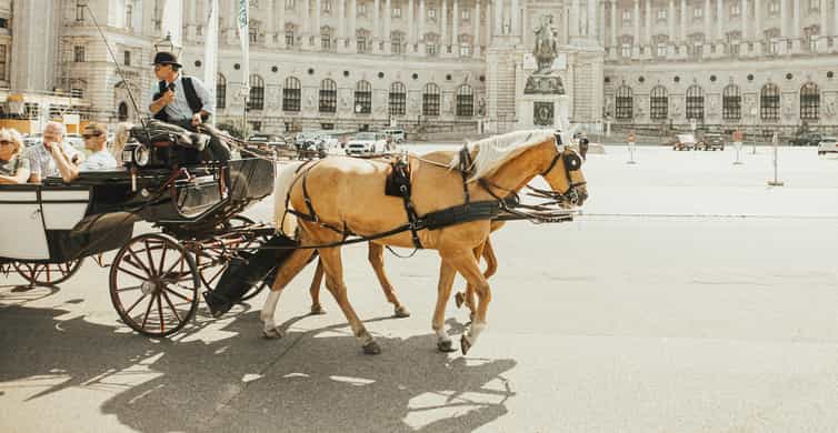 Wien: Tour mit privatem Guide | GetYourGuide