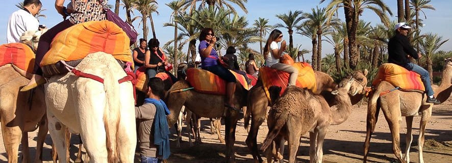 Palmeral de Marrakech, Marrakech - Reserva de entradas y tours ...