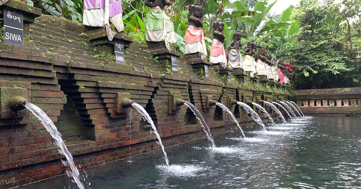 Bali occidental: ceremonia de bendición privada y visita a templos ...