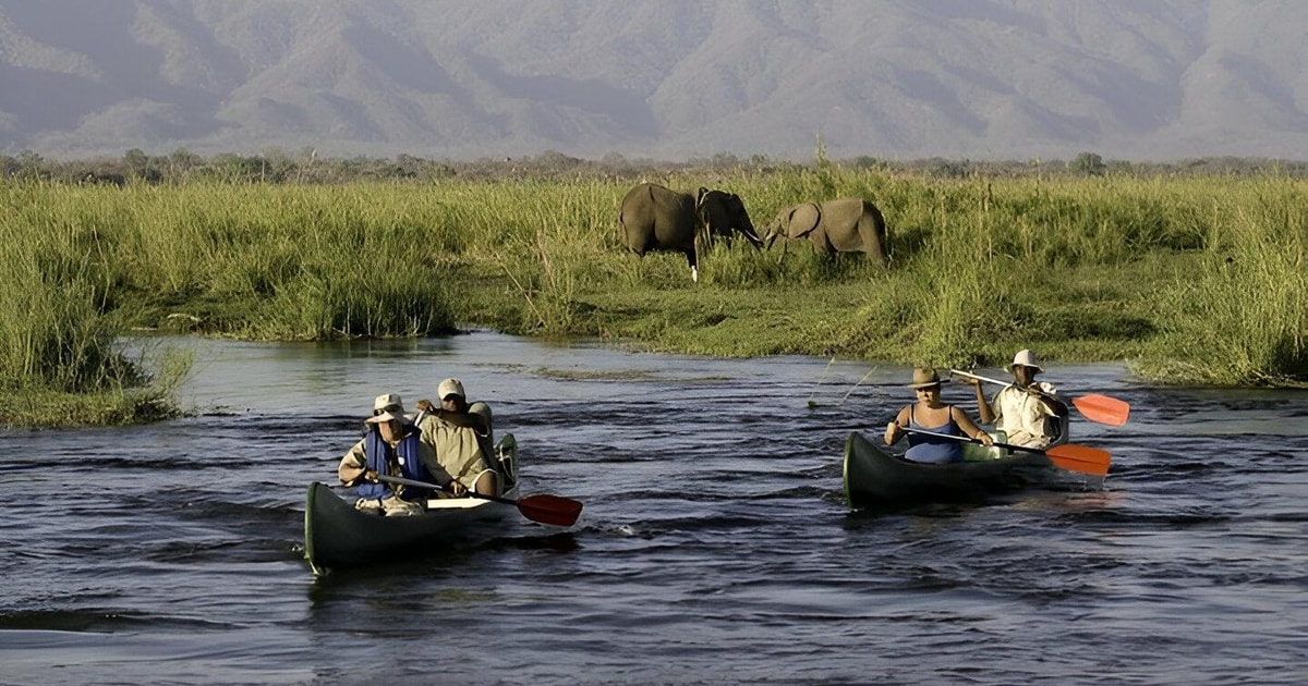 Iz Arushe: jednodnevni izlet u nacionalni park Arusha | GetYourGuide