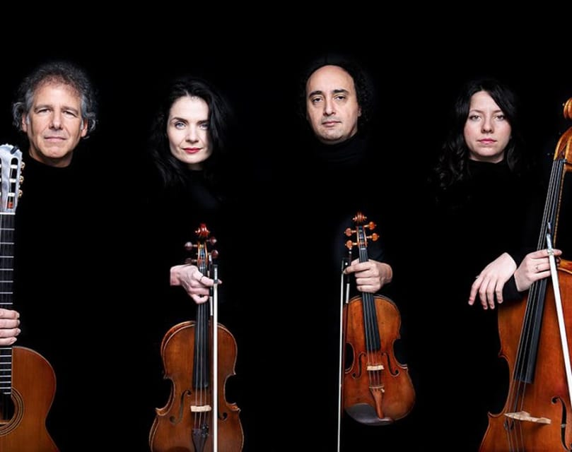 Viena: Conjunto Paganini en el Musikverein | GetYourGuide