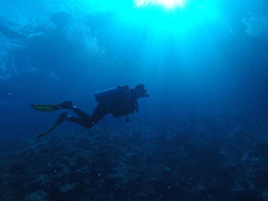 Scuba Diving in Hikkaduwa | GetYourGuide
