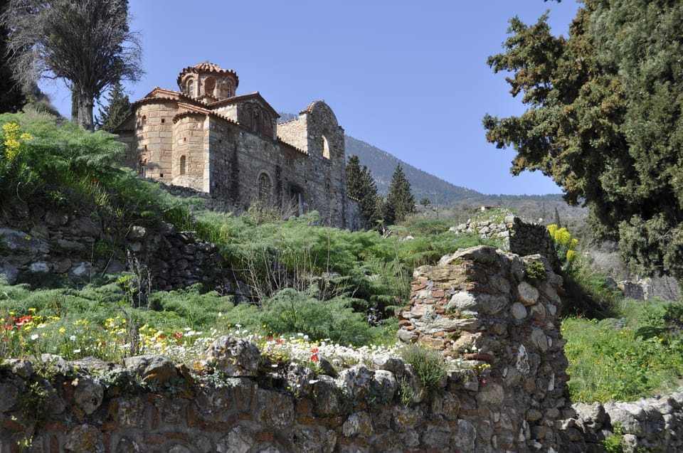 Mystras Castle Town, Sparta, Olive Museum Private Day Tour | GetYourGuide