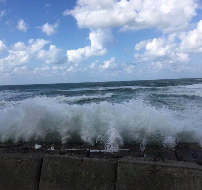 Alexandria: Guided Day Tour with Entry Tickets and Lunch | GetYourGuide