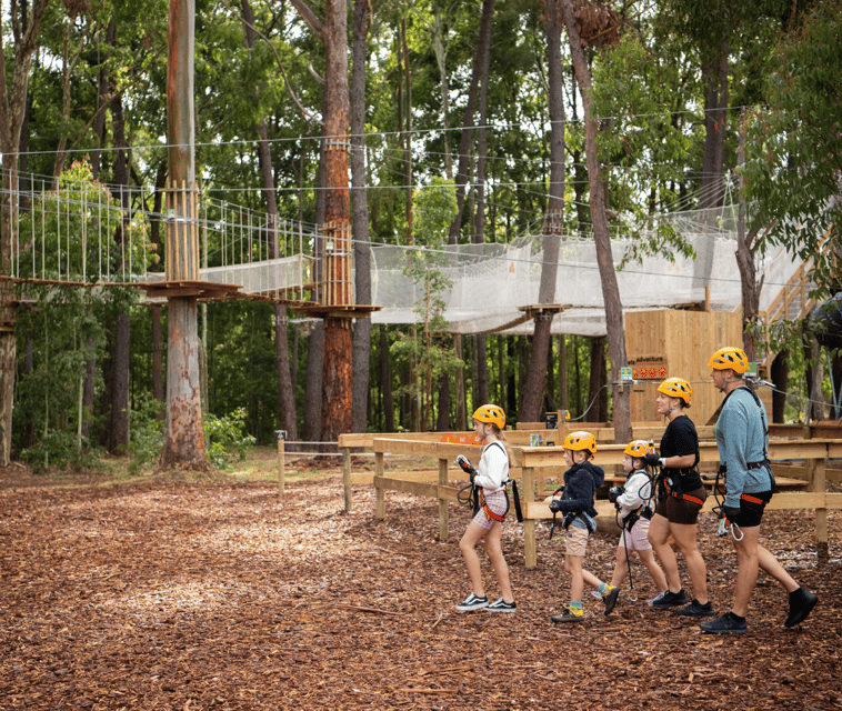 TreeClimb Kuitpo Forest: Exciting Treetop Climbing Adventure | GetYourGuide
