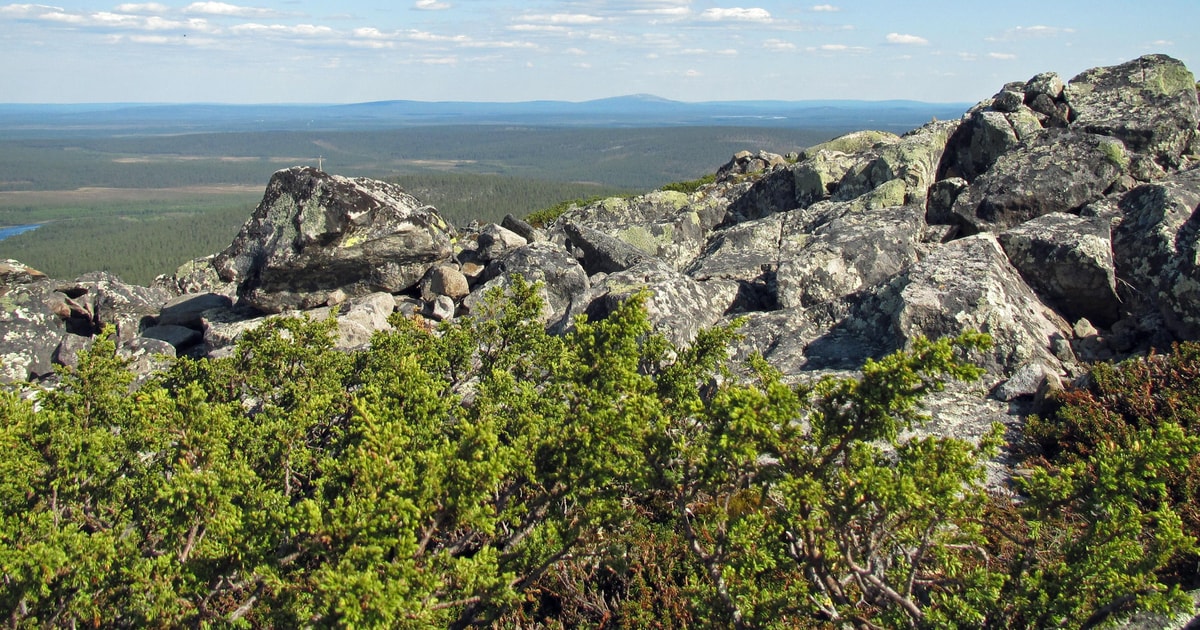 Levi: Fell-Gipfel-Tour und Samiland-Besuch | GetYourGuide