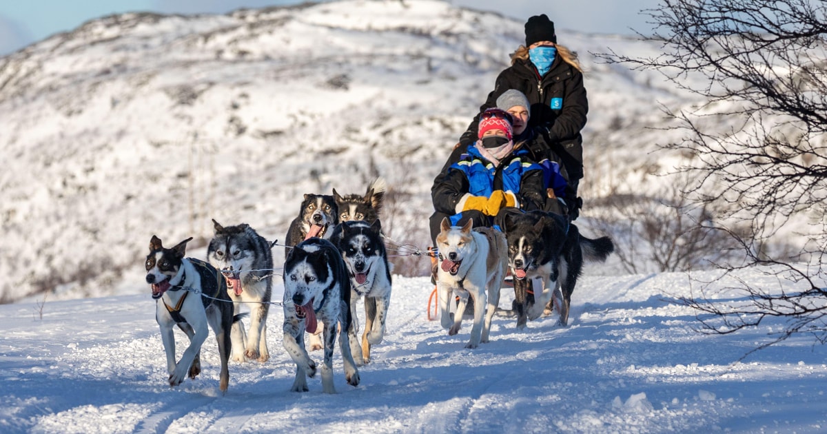 Rovaniemi: Santa's Village, Husky, & Reindeer Sled Ride | GetYourGuide