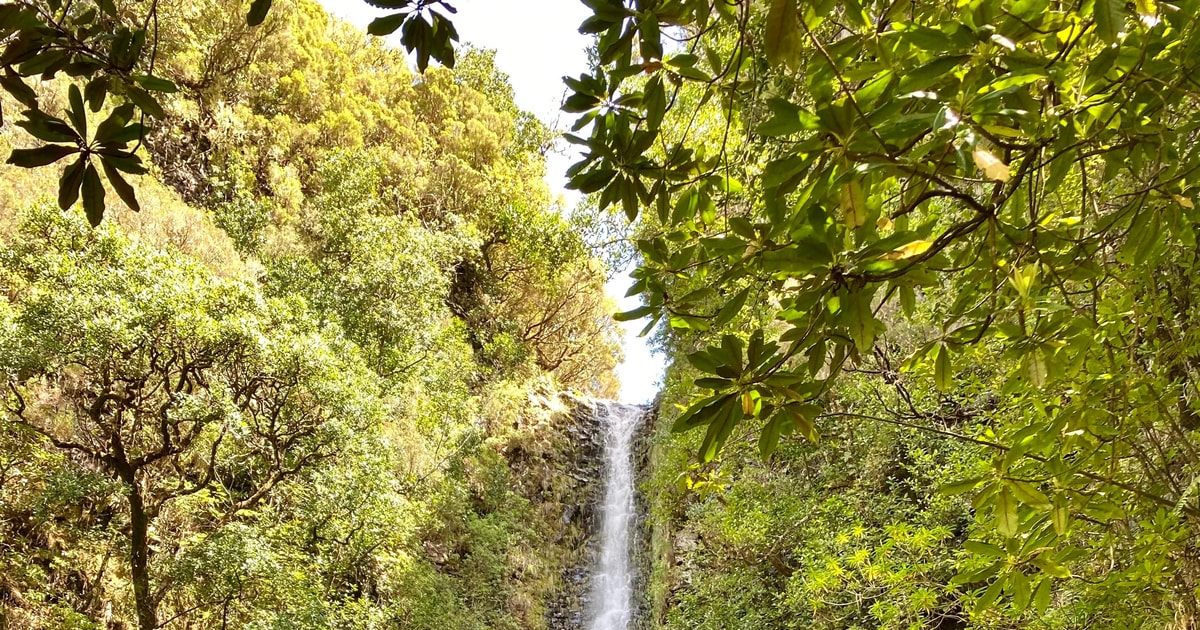 Madera: 25 Fontes i Levada do Risco Transfer | GetYourGuide