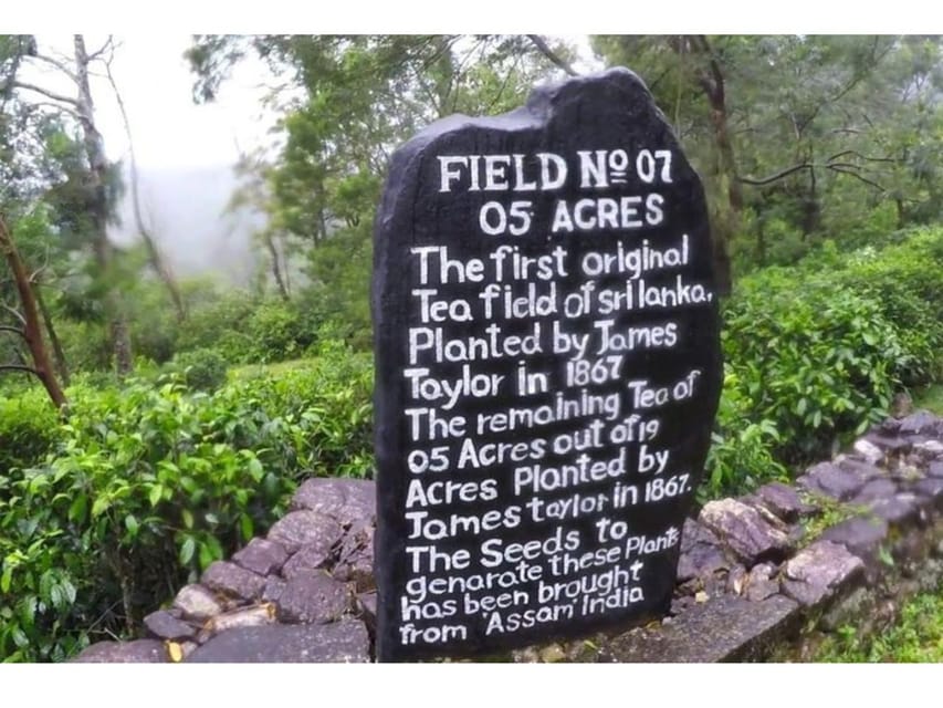 From Kandy: James Taylor’s Tea Tour (The Tale of Ceylon Tea) | GetYourGuide