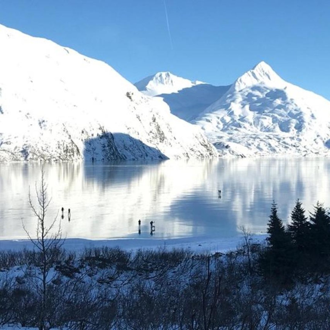 From Anchorage: Alaska Wildlife Center & Turnagain Arm Tour | GetYourGuide