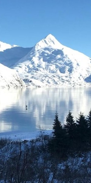 From Anchorage: Alaska Wildlife Center & Turnagain Arm Tour | GetYourGuide