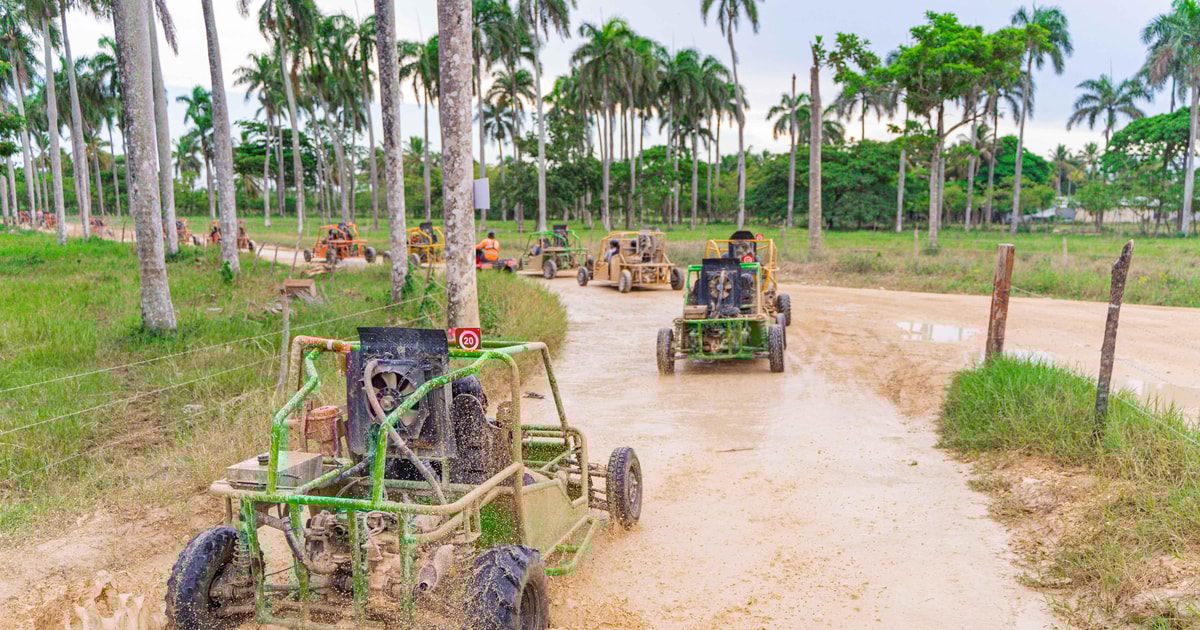 Punta Cana: Saona Island & Buggy Combo Adventure | GetYourGuide