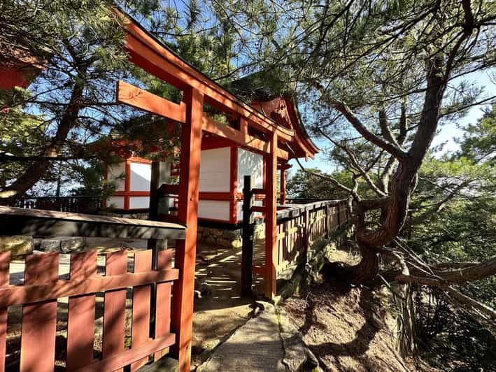 Hiroshima: Miyajima Half-day Historical Walking Tour | GetYourGuide