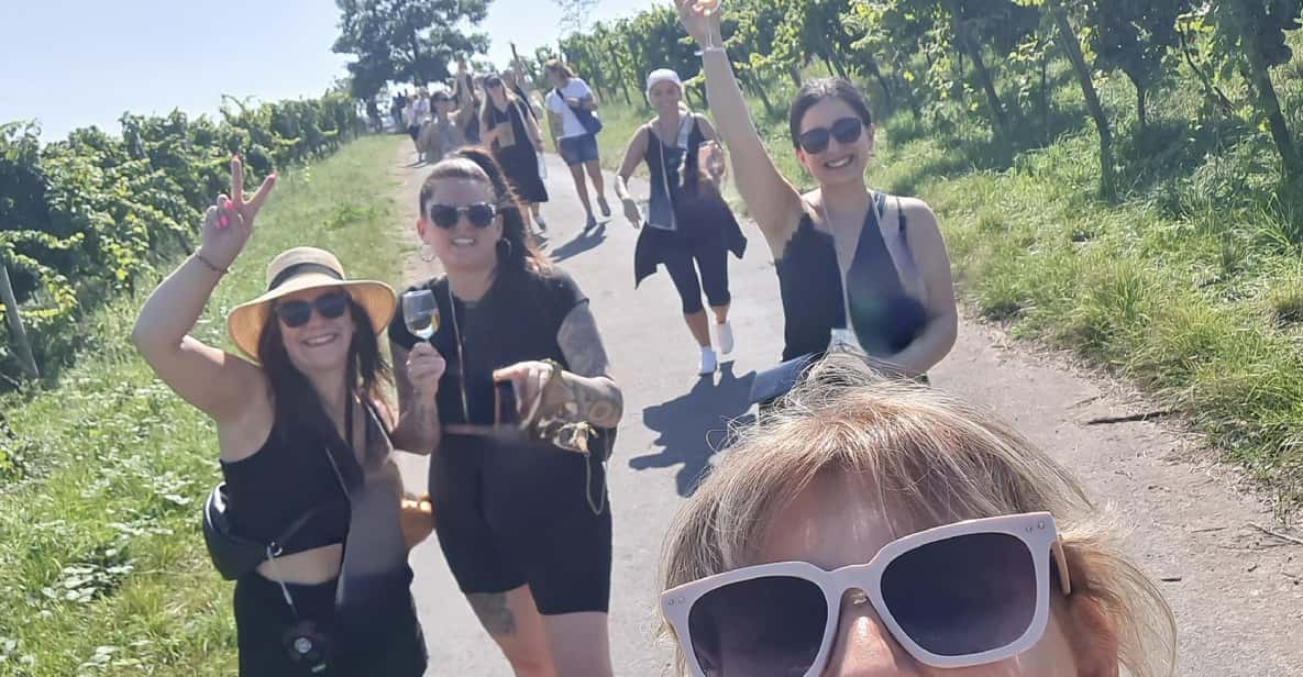 Rüdesheim am Rhein: wine hike and sights | GetYourGuide