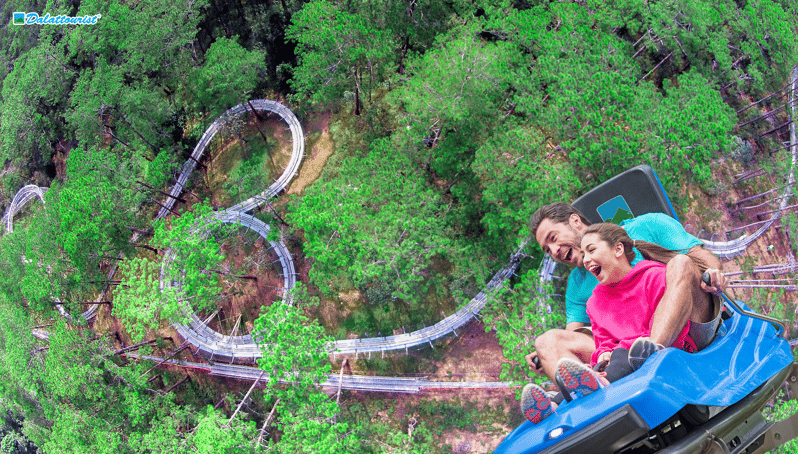 Da Lat: Datanla New Alpine Coaster Experience Entry Ticket | GetYourGuide