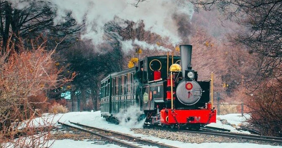 Tierra del Fuego: Nationalpark & Zug zum Ende der Welt | GetYourGuide