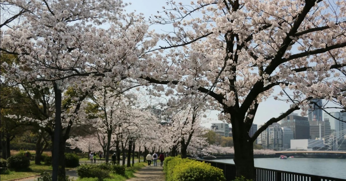 Osaka: Private Walking Tour with a Local | GetYourGuide