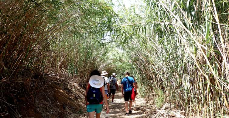 Mykonos' Off the Beaten Path hiking tour | GetYourGuide