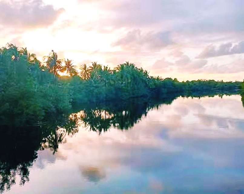 Bongawan Wetland: Proboscis Monkey and Fireflies Shared Tour | GetYourGuide