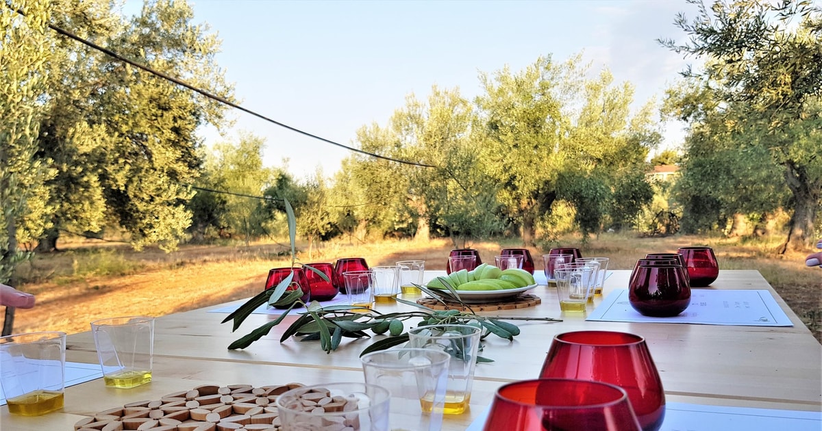 From Nafplion: Ancient Argos & Olive Tasting Experience | GetYourGuide