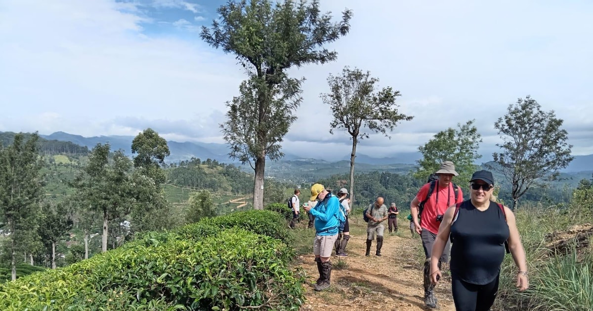 Colombo: 5-Day Hill Country Trekking Itinerary to Ella | GetYourGuide